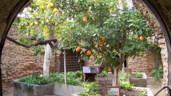 About Baldassare Forestiere | Forestiere Underground Gardens