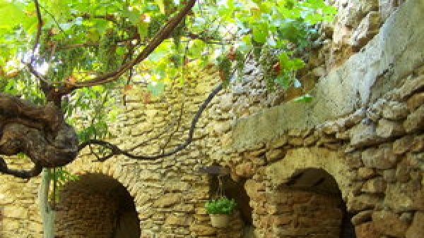 About Baldassare Forestiere | Forestiere Underground Gardens