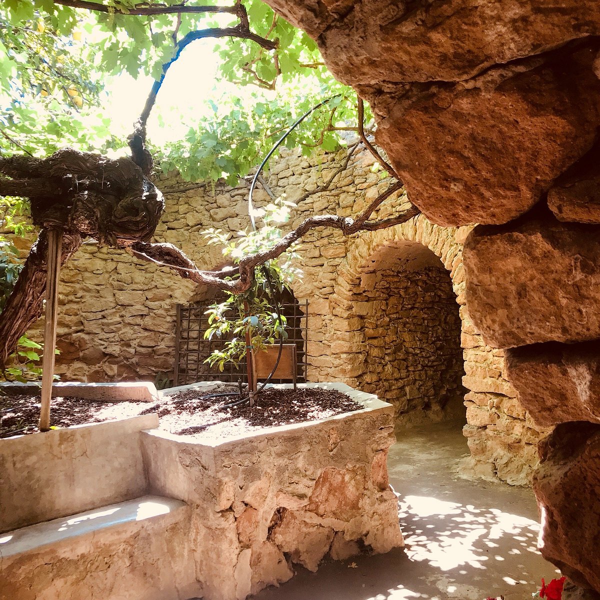 Guided Tour - Fresno, CA | Forestiere Underground Gardens